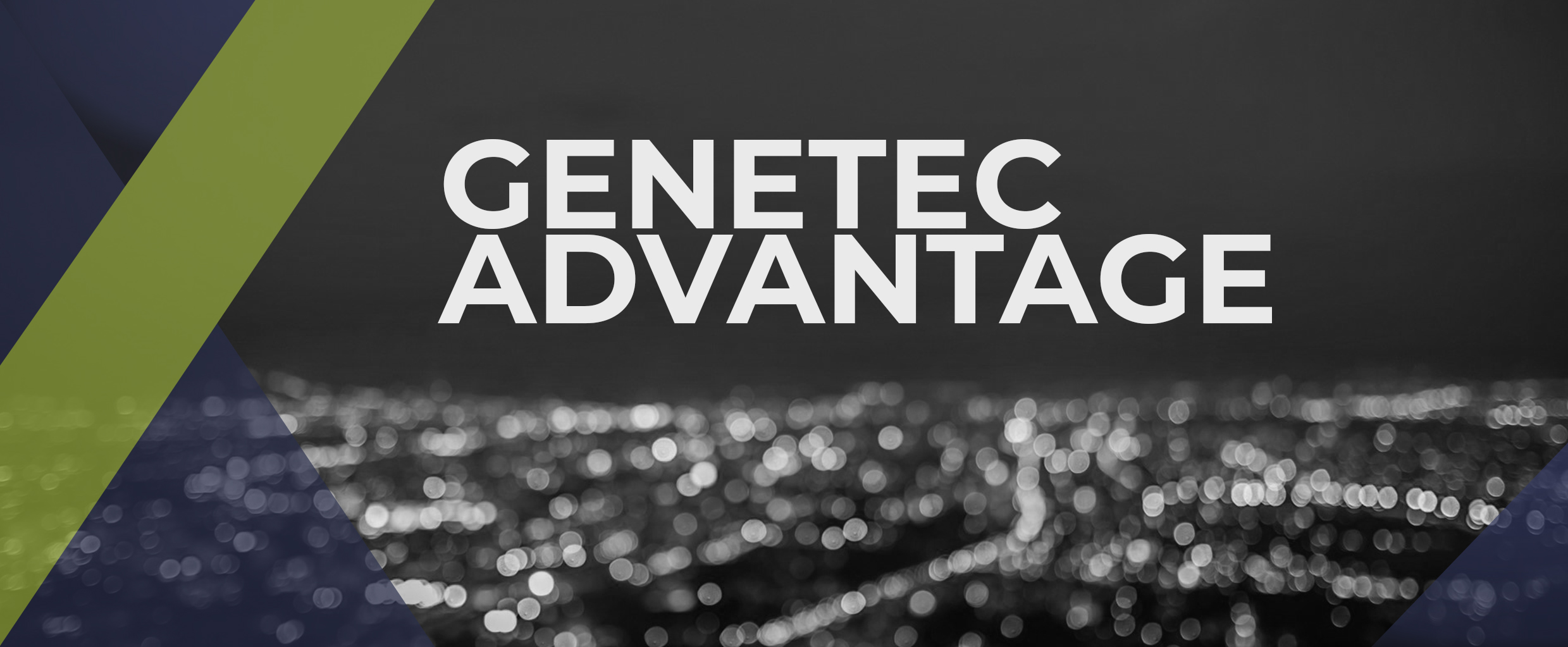 Tout savoir sur Genetec Advantage | Solutions IP Protection